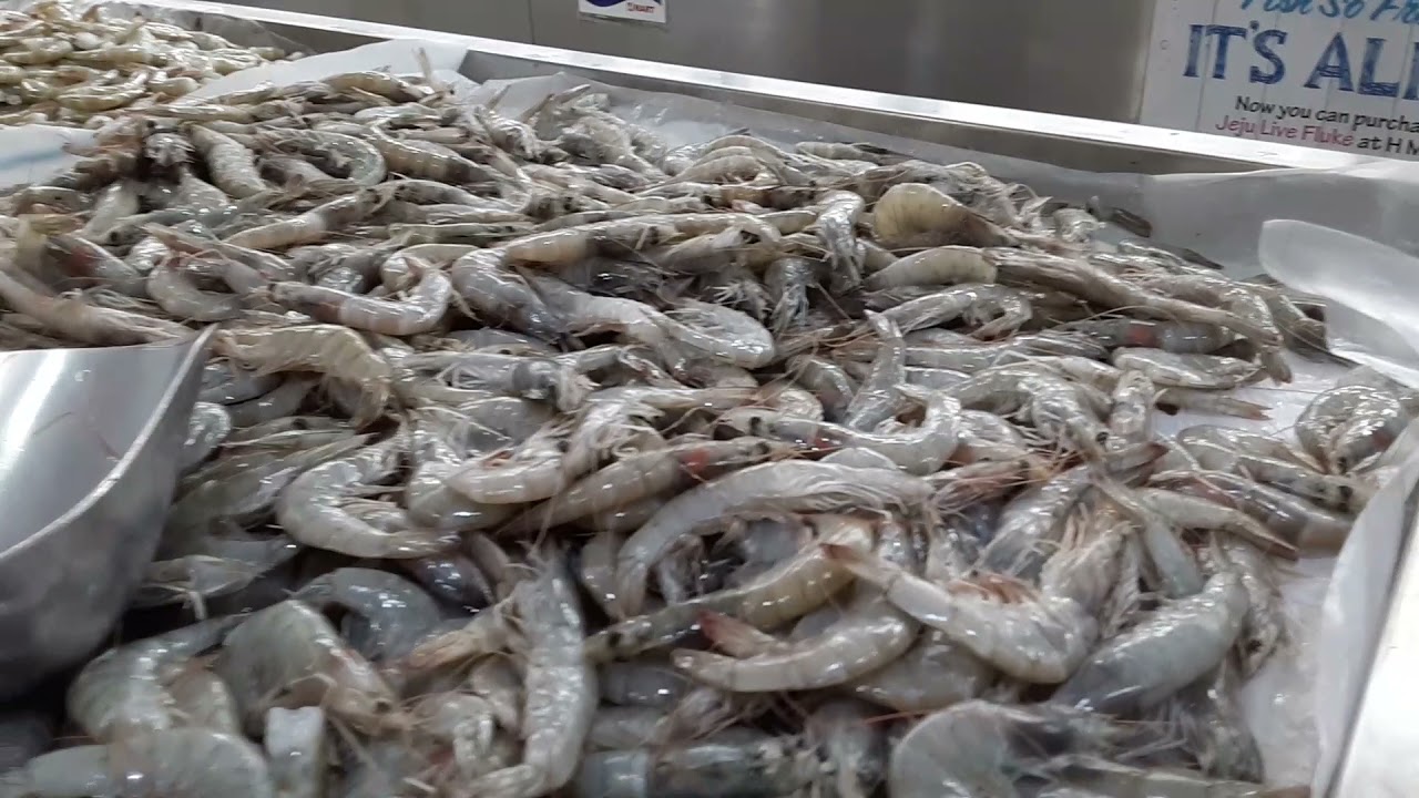 H-Mart Korean Supermarket Fish and Meat section - YouTube