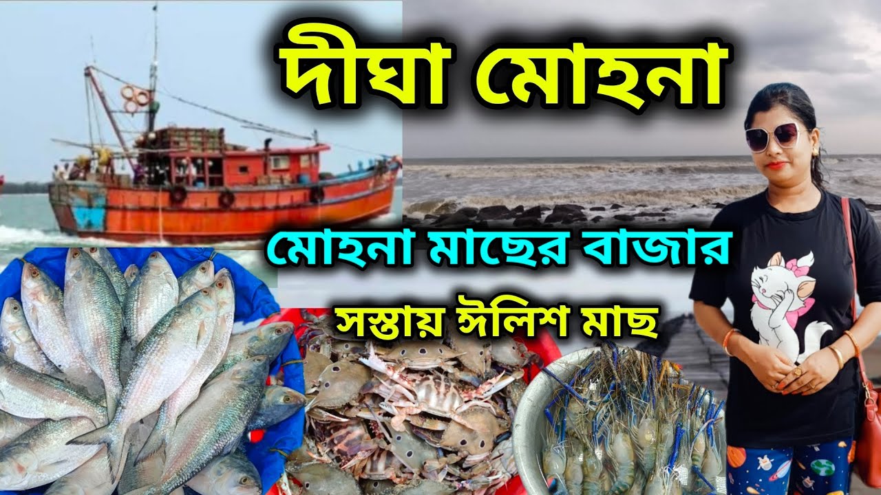 Digha Mohona Fish Market || Digha Mohona || দীঘা মোহনা মাছের বাজার ...