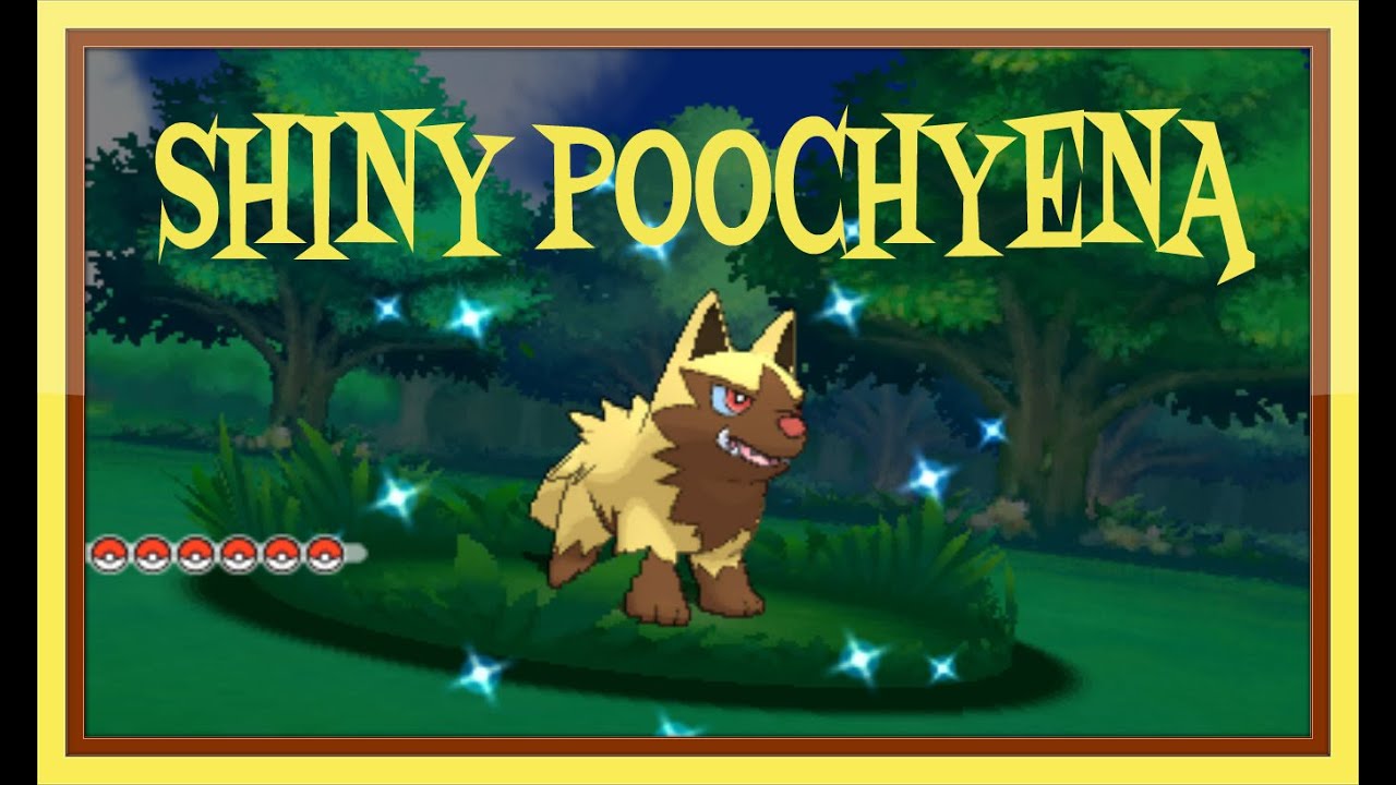 [2 In 1 Day] Shiny Poochyena Reclaim In Omega Ruby! - YouTube