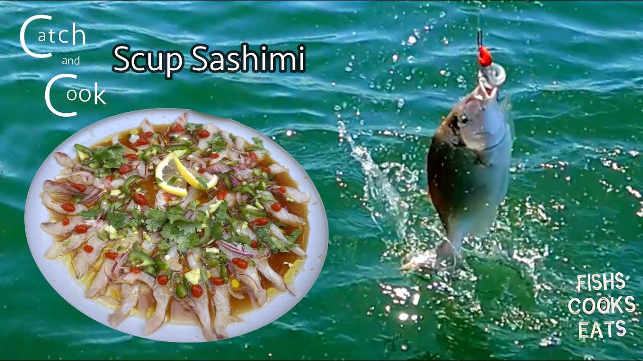 Kayak fishing camping trip catch and cook scup sashimi - YouTube