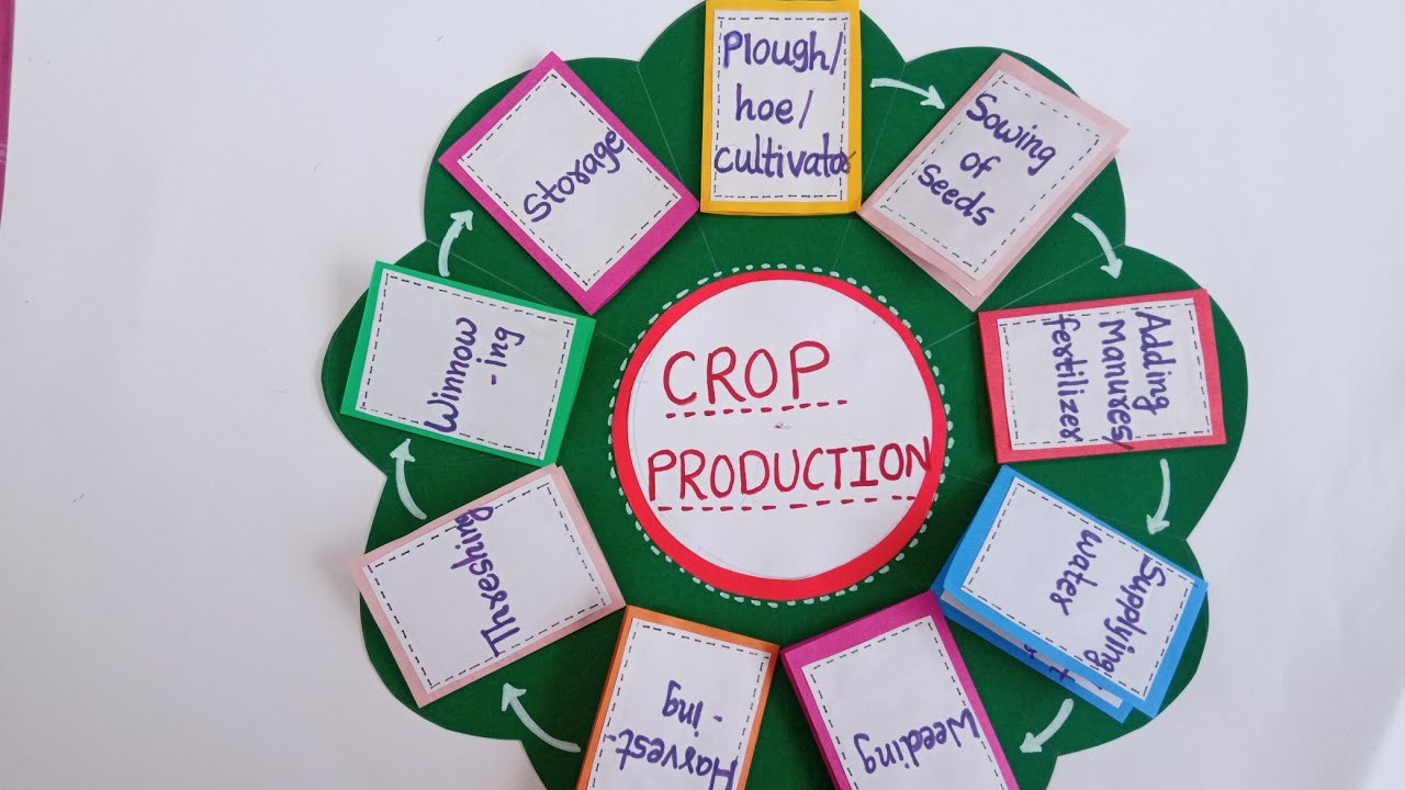 Method of Crop production Science project| Crop production methods step ...