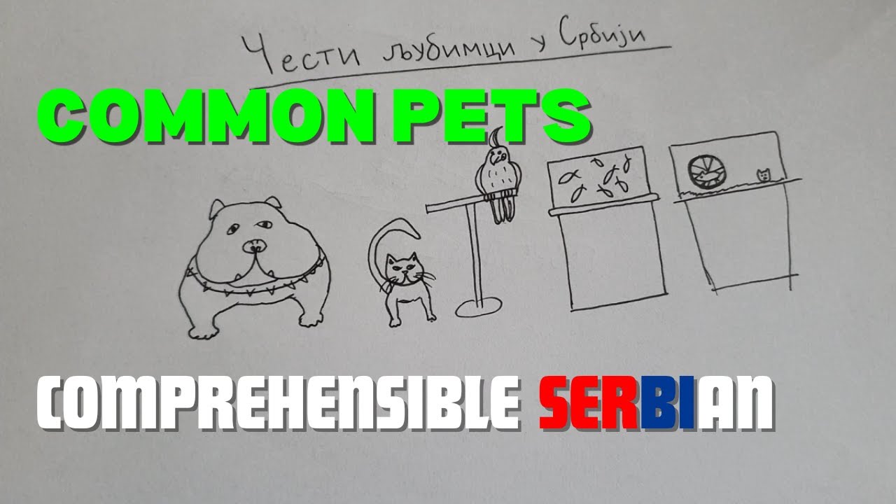 Comprehensible Serbian for Beginners - Common Pets in Serbia - YouTube