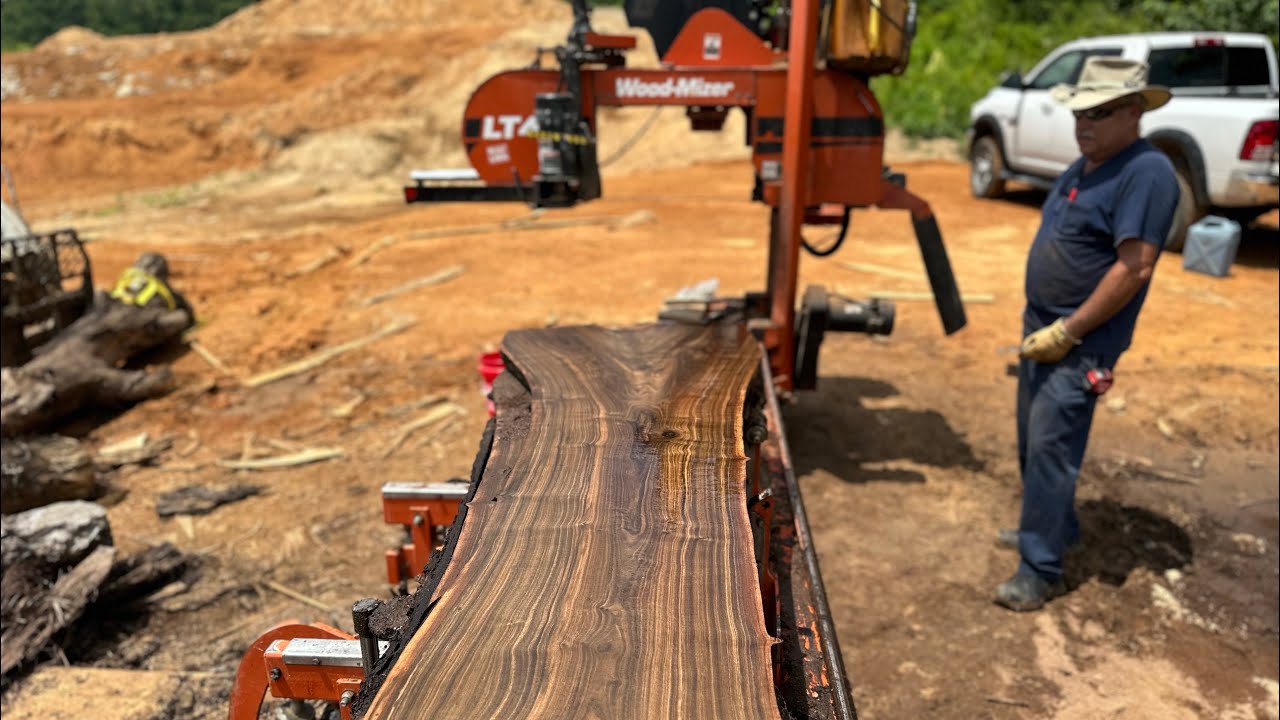 EPIC Walnut Log Left To Rot Had A Secret Under It's Bark, Black Gold ...