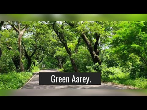 Exploring Aarey Colony Goregaon Mumbai - YouTube