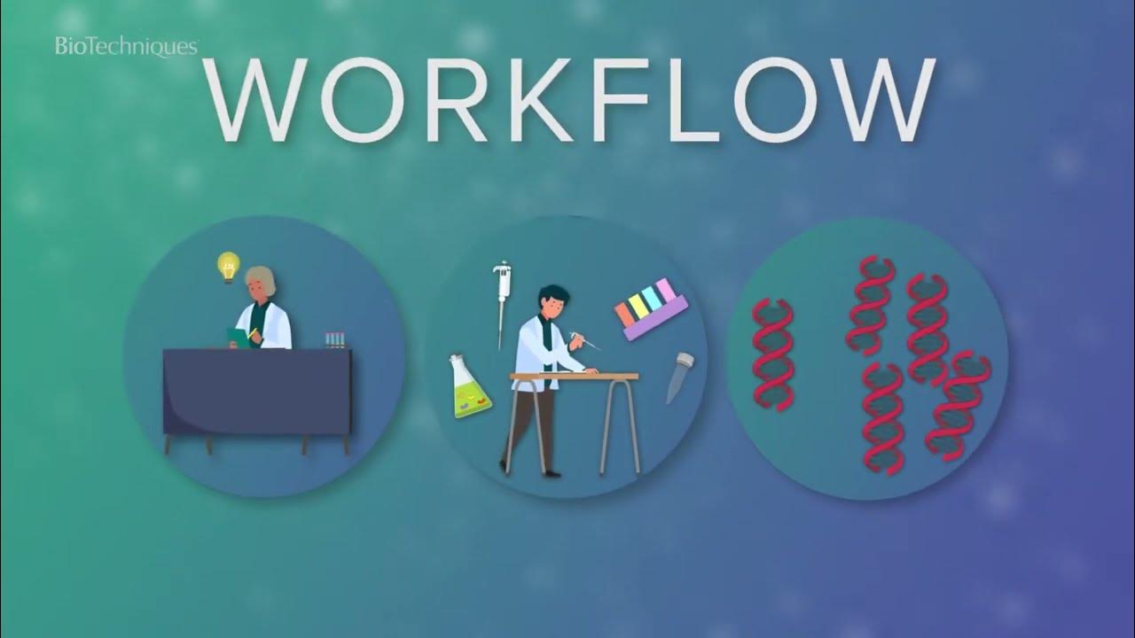 An introduction to lab automation - YouTube