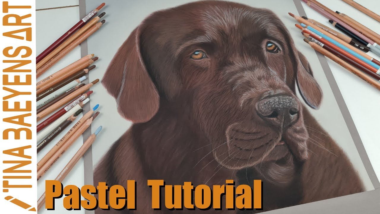 BROWN LABRADOR TUTORIAL with SOFT PASTELS | Step by step ...