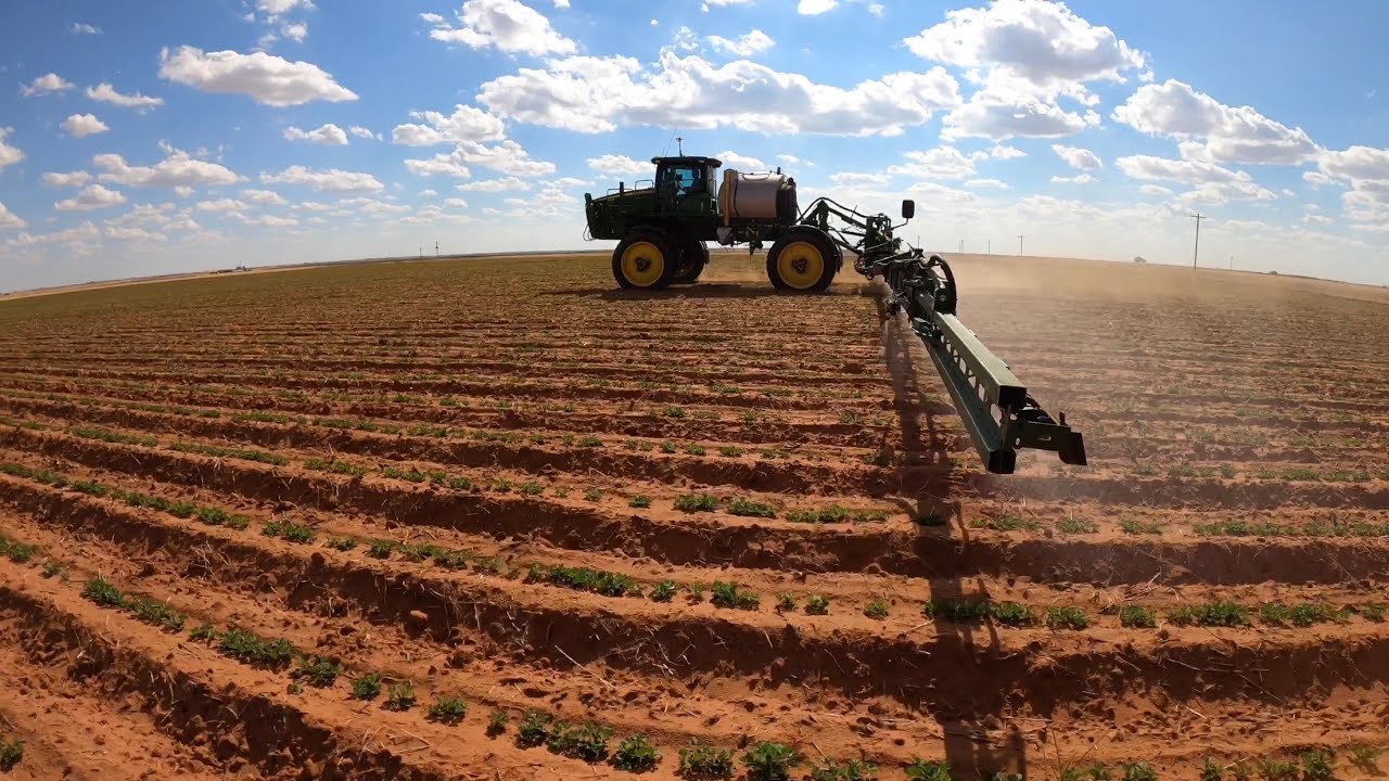 Spraying nut grass and turning on pivots - YouTube
