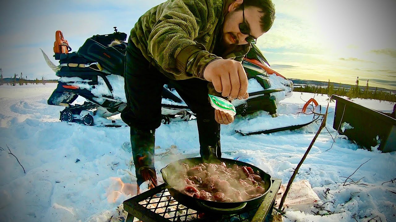 Fried Moose in the Alaska Range - YouTube