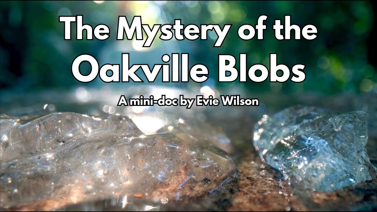 The Oakville Blobs - A mini doc - YouTube