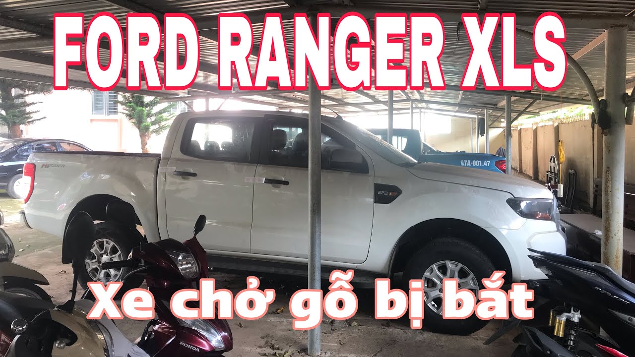 Ford Ranger XLS 2017 xe chở gổ bị tịch thu lưu kho 2019 - YouTube