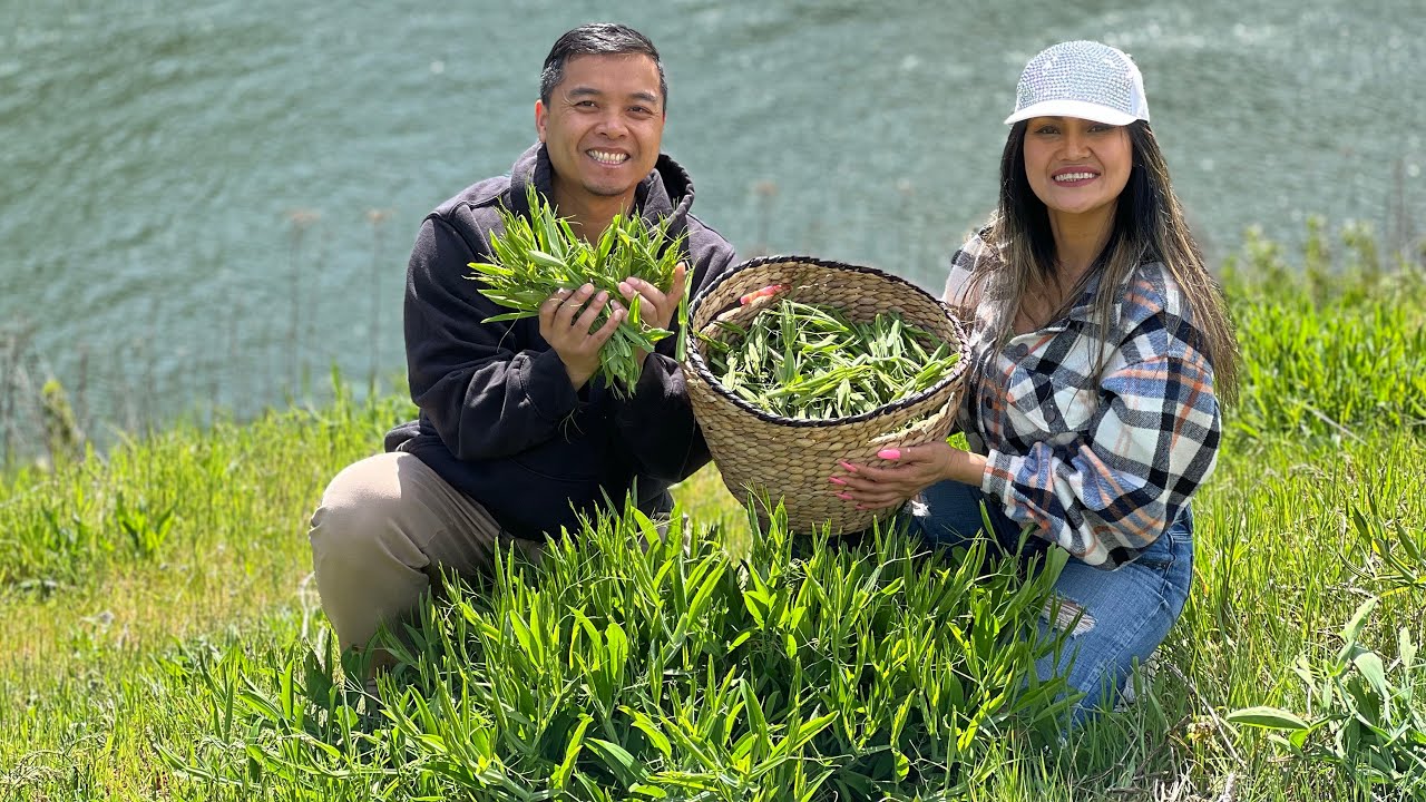 How to Forage and Eat Wild Sweet Snap Peas Shoots របៀបចិញ្ចឹម ...
