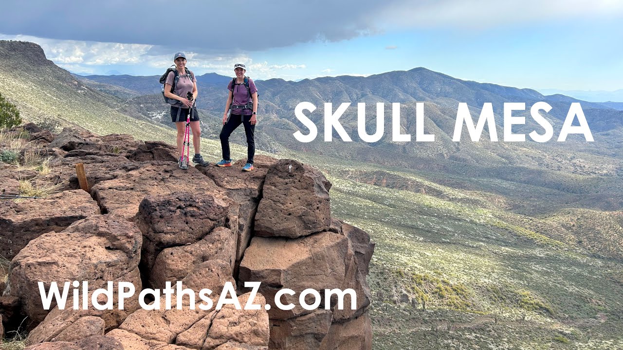 A tough Phoenix area hike with a rewarding summit (and crested saguaros ...