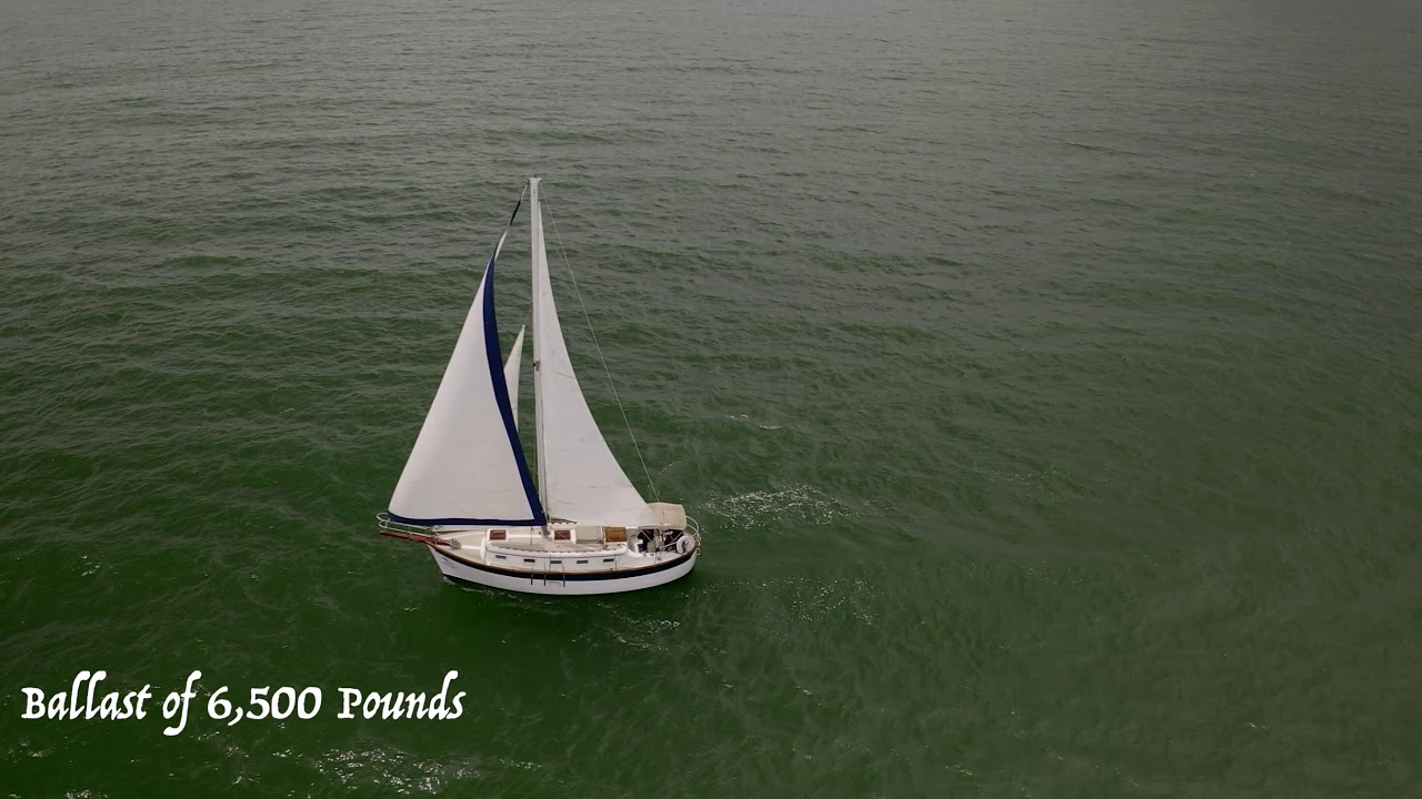 Willard 30 - Sea Turtle - YouTube