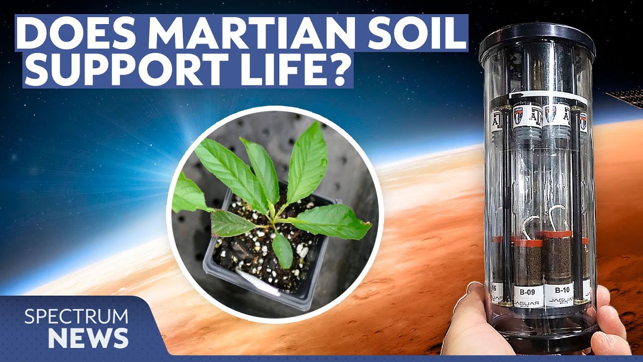 Why growing plants on Mars is harder than it sounds - YouTube