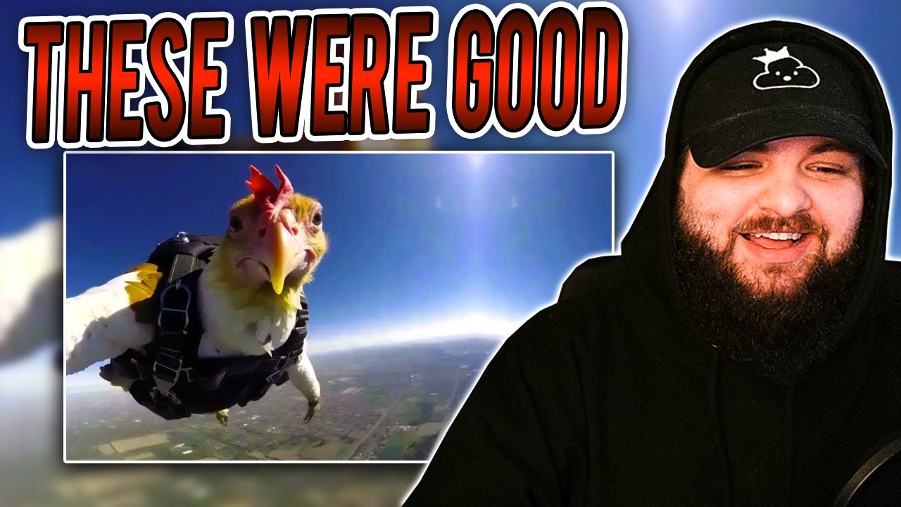 @MemerMan memes delivered directly to your house - YouTube