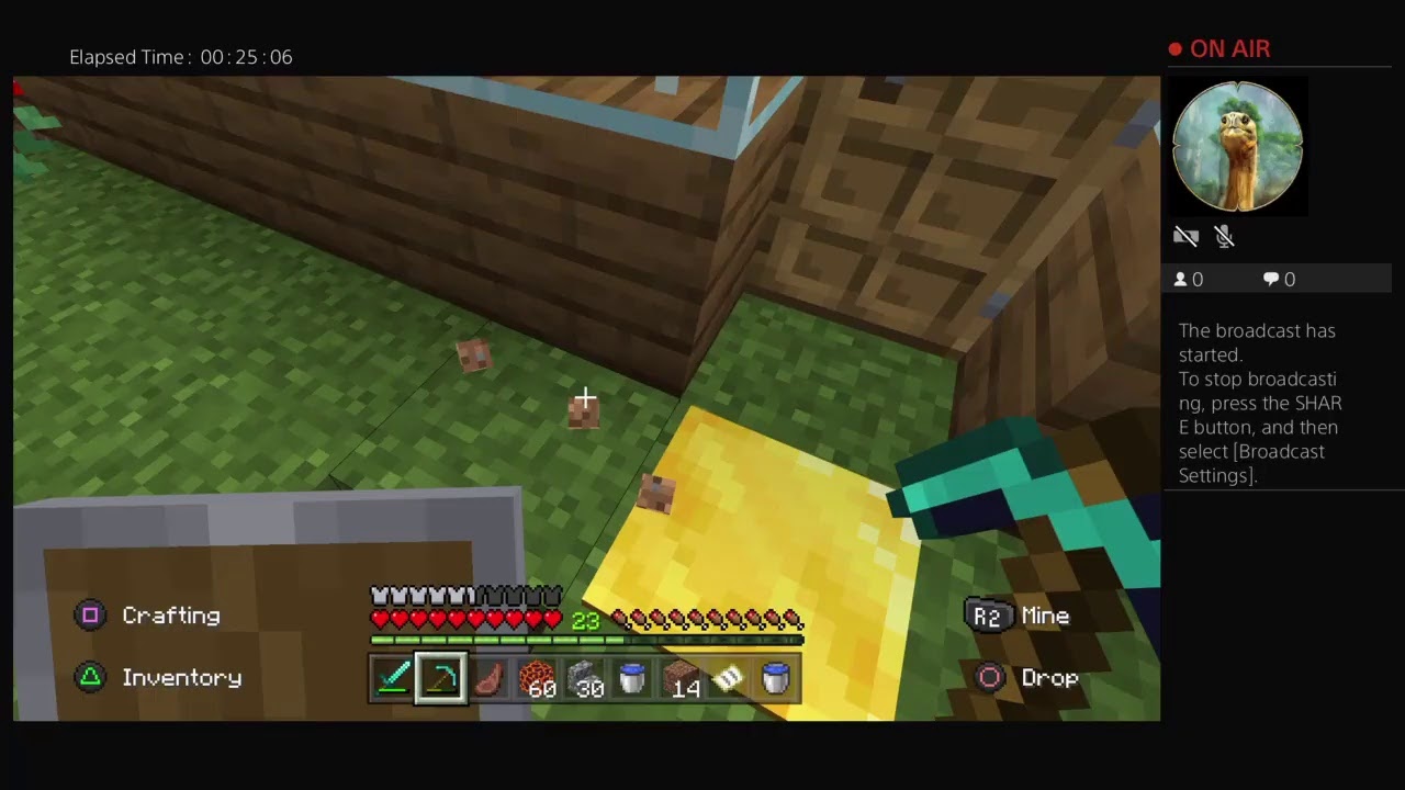 Epic PP Minecraft Content - YouTube