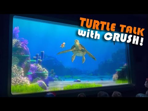 Turtle Talk with Crush at EPCOT (FULL SHOW) - YouTube