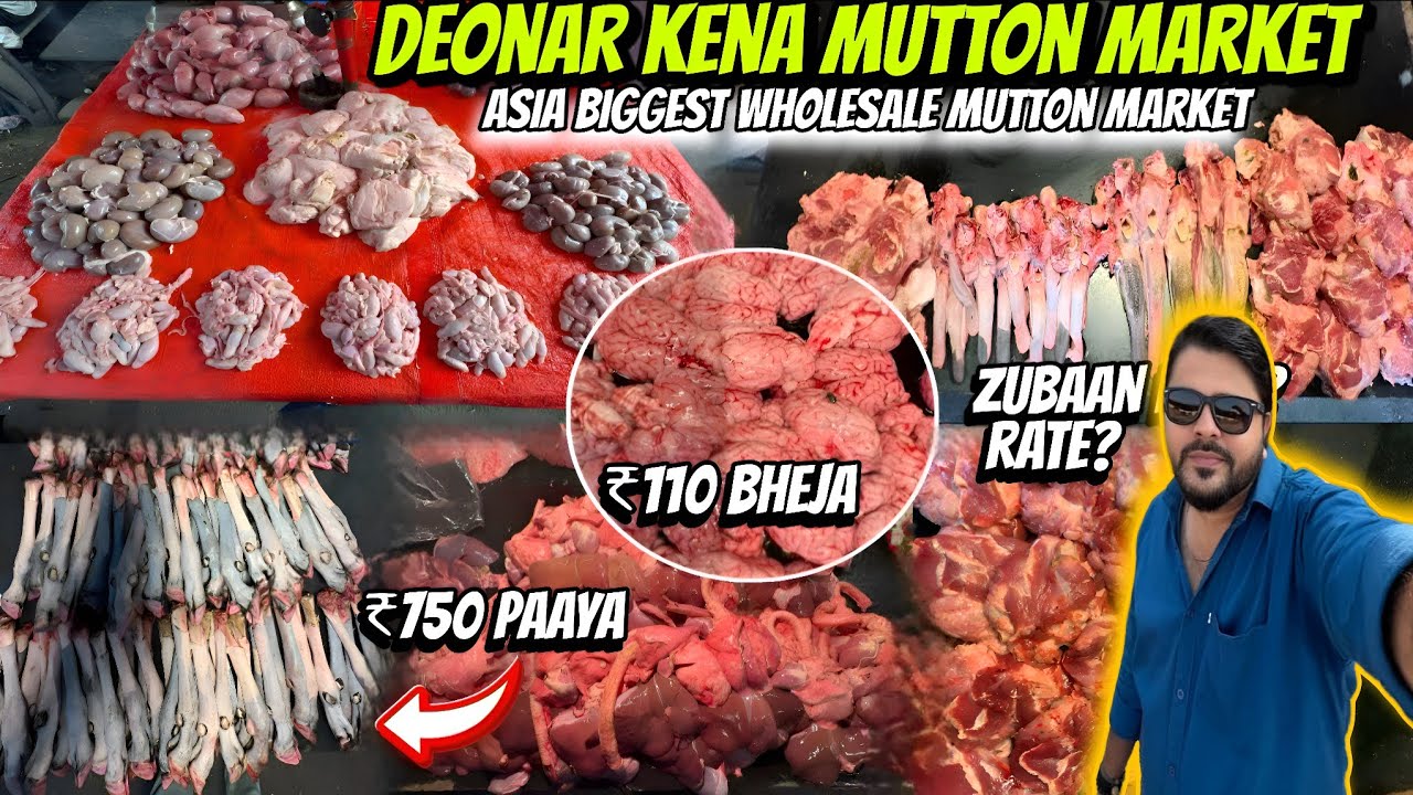 Kena Mutton Market | Asia Largest Mutton Market | Wholesale Kena Mutton ...