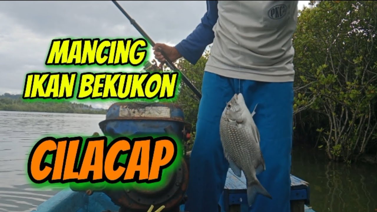 Mancing ikan bekukon cilacap - YouTube