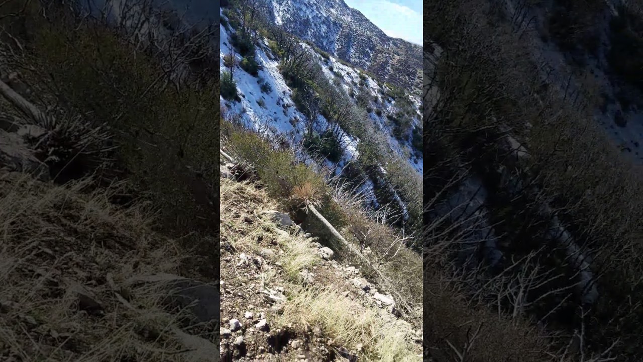 Hike up towards Mt. PACIFICO(3) - YouTube