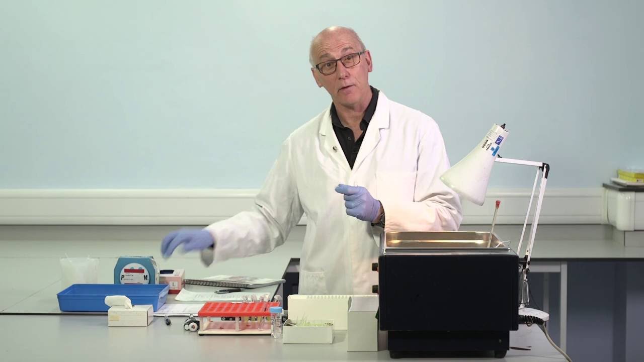 APTT Lab Manual Video YouTube aptt-lab-manual-video-youtube