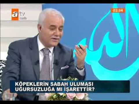 Köpeklerin sabah uluması uğursuzluğa alamet midir?( Nihat HATİPOĞLU )