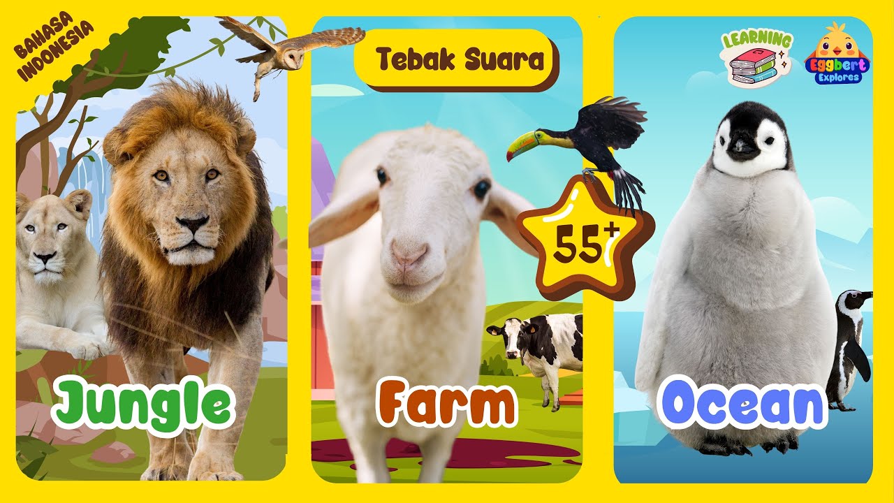 55+ Animal Sounds 🎵 | Jungle, Farm & Ocean Sound Adventure Game for ...