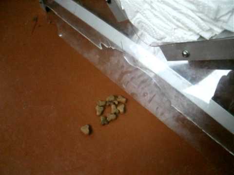 Automatic Cat feeder, Version 2 (with arduino controller) - YouTube