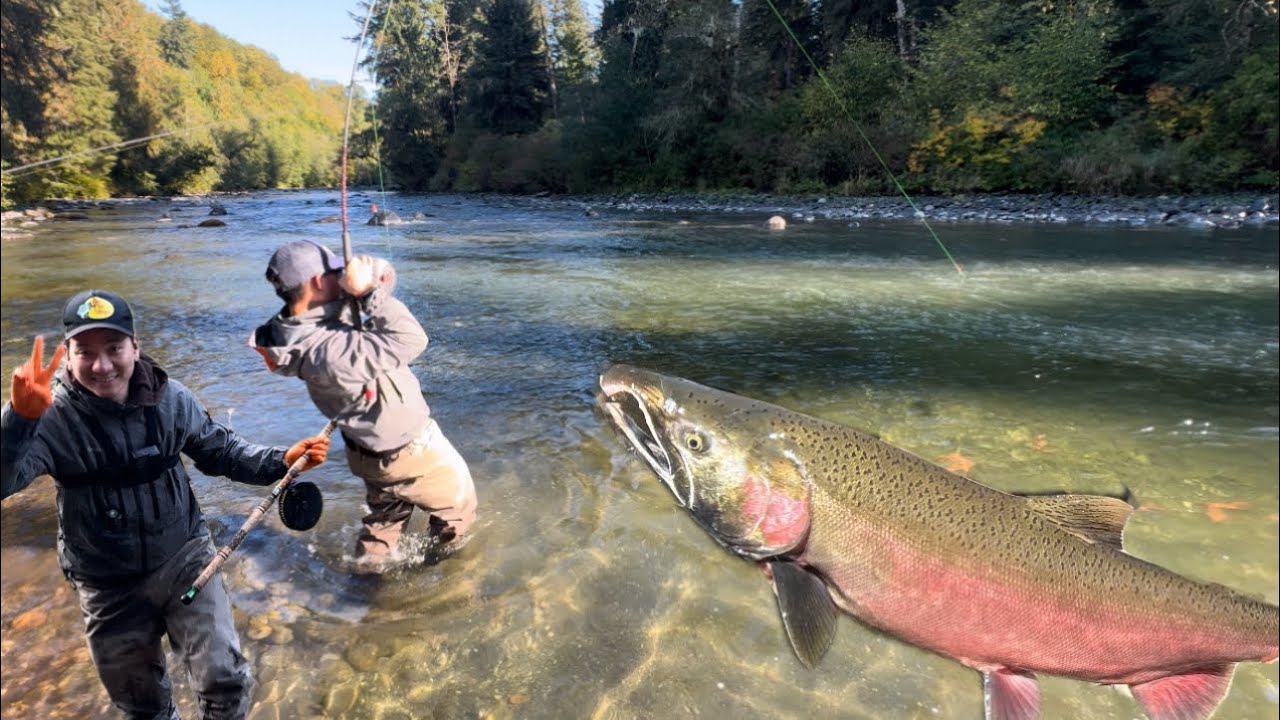 PNW- Bobber Coho Fishing: Centerpin Mastery Unleashed! - YouTube