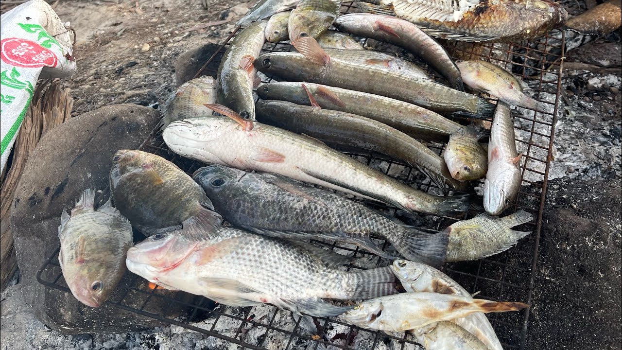 Fishing , Enjoy with Team Work From Nature , Catch a lot of fish ...