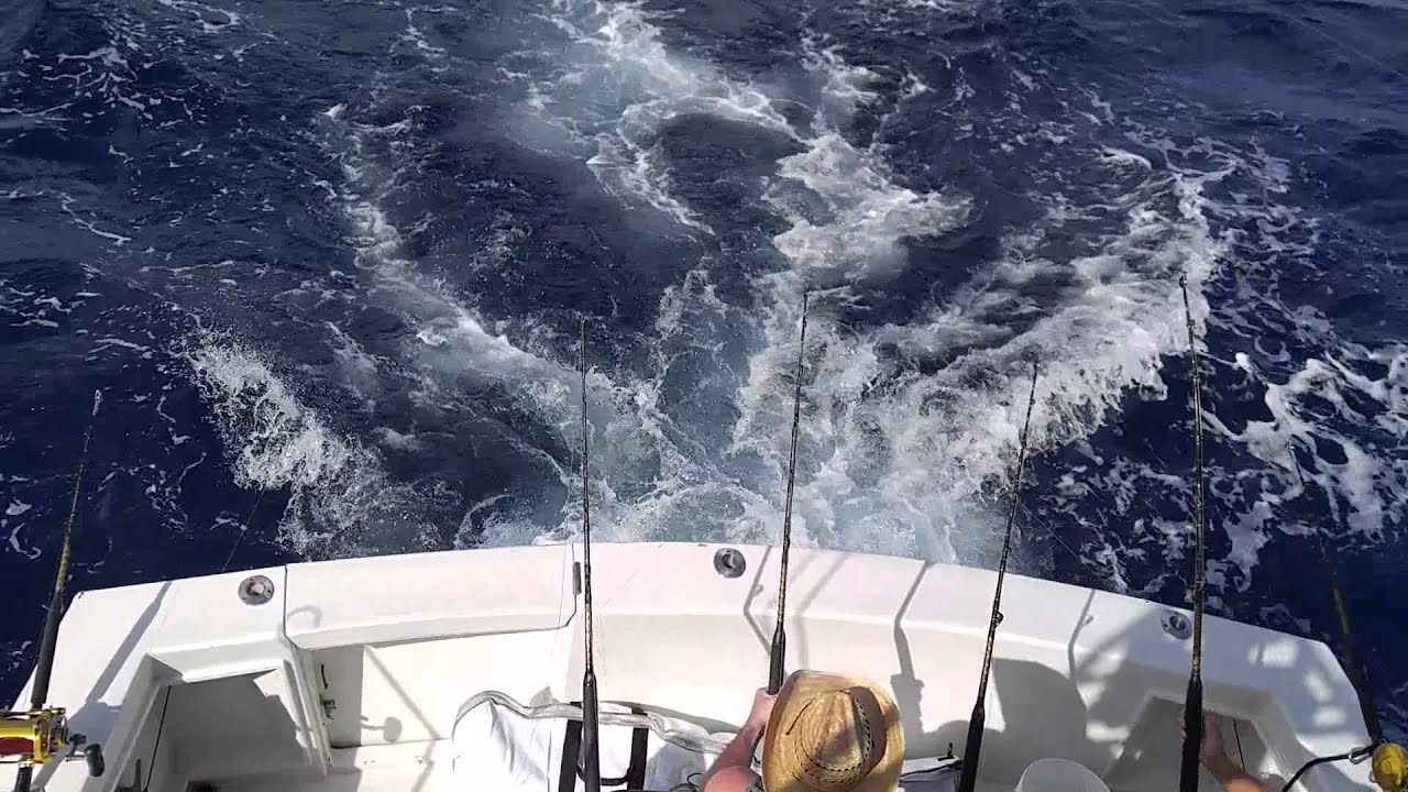 Grants fish and 2 others hooked. - YouTube