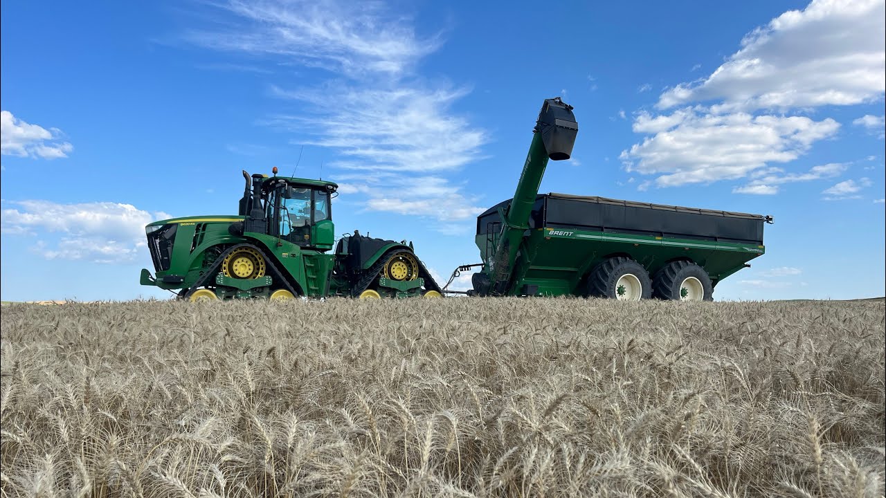 Harvesting Our Biggest Field - North Dakota Wheat Harvest 2023 | Ag ...