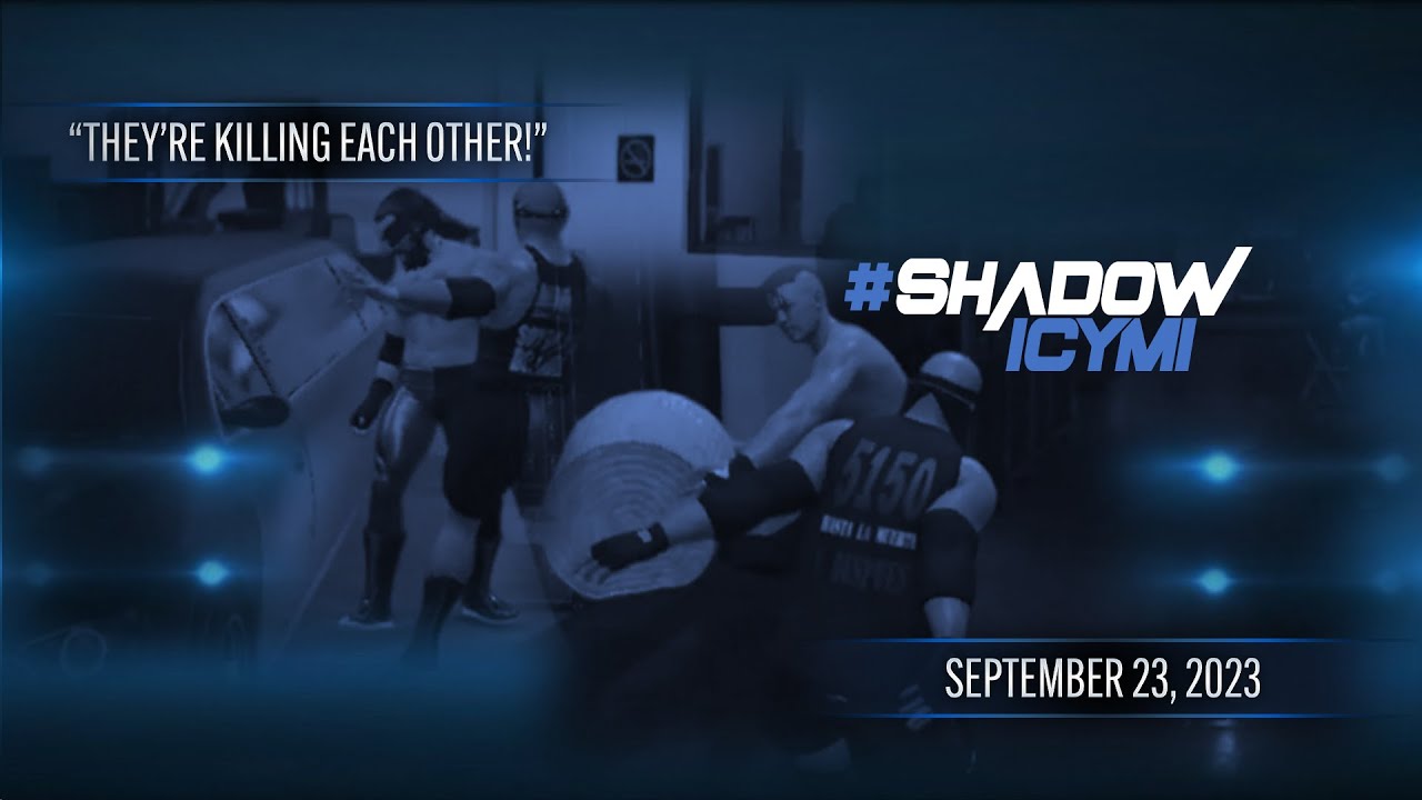 Freedom Fighters + Mexican Martial Arts = BRAWL!!! | #SHADOWICYMI - YouTube