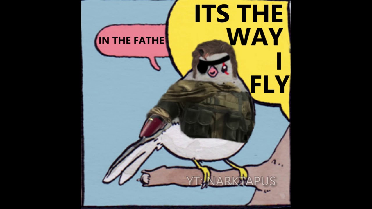Metal Gear Solid Bird Meme - YouTube