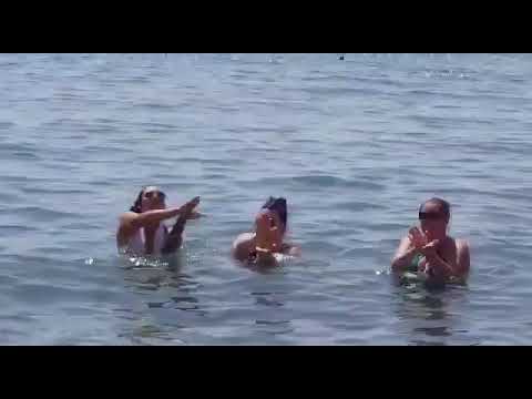 Benidorm sharks - YouTube