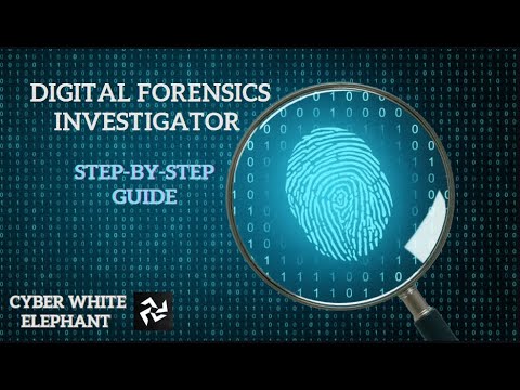 Master The Art Of Digital Forensics Investigation: A Step-By-Step Guide ...