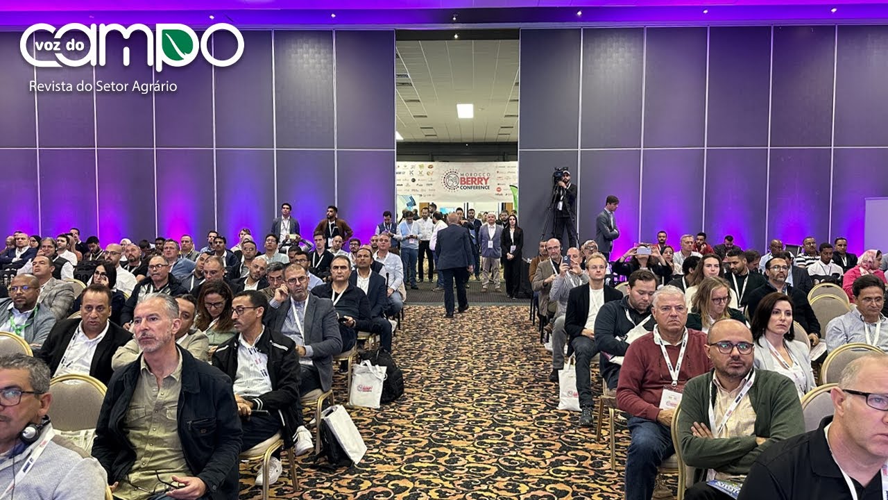 4º Edição Morocco Berry Conference 2023 - YouTube