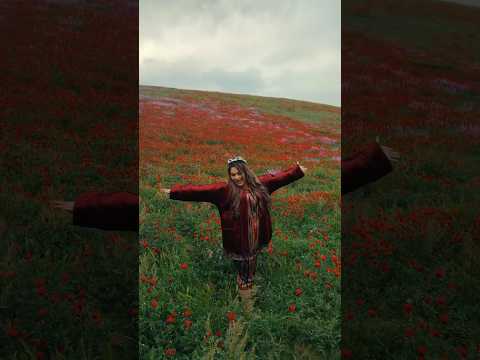 Kapalaklar 🧚🏻‍♀️