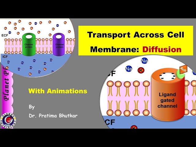 Diffusion Across Membrane