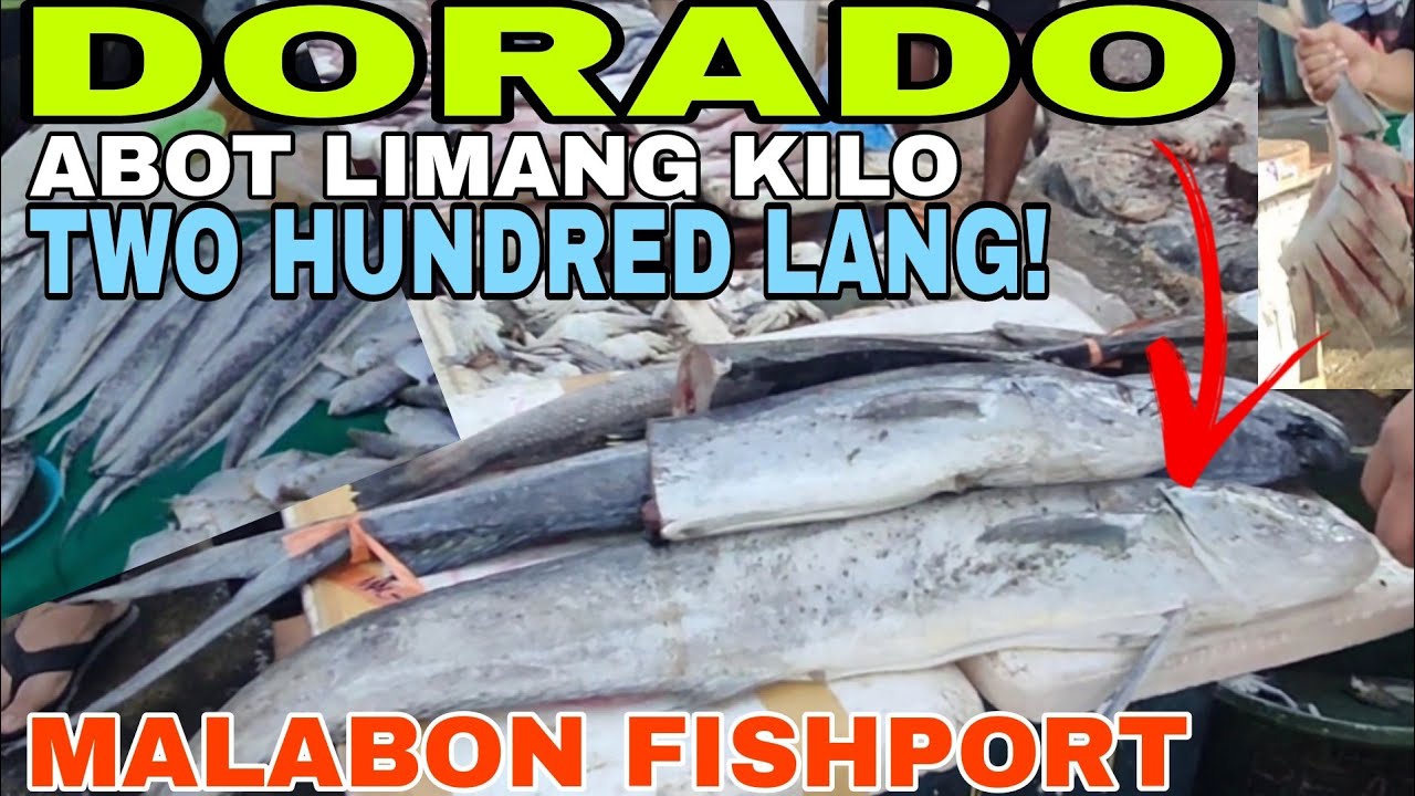 EPS 153 ISDANG DORADO AABOT LIMANG KILO TWO HUNDRED ONLY|MALABON ...