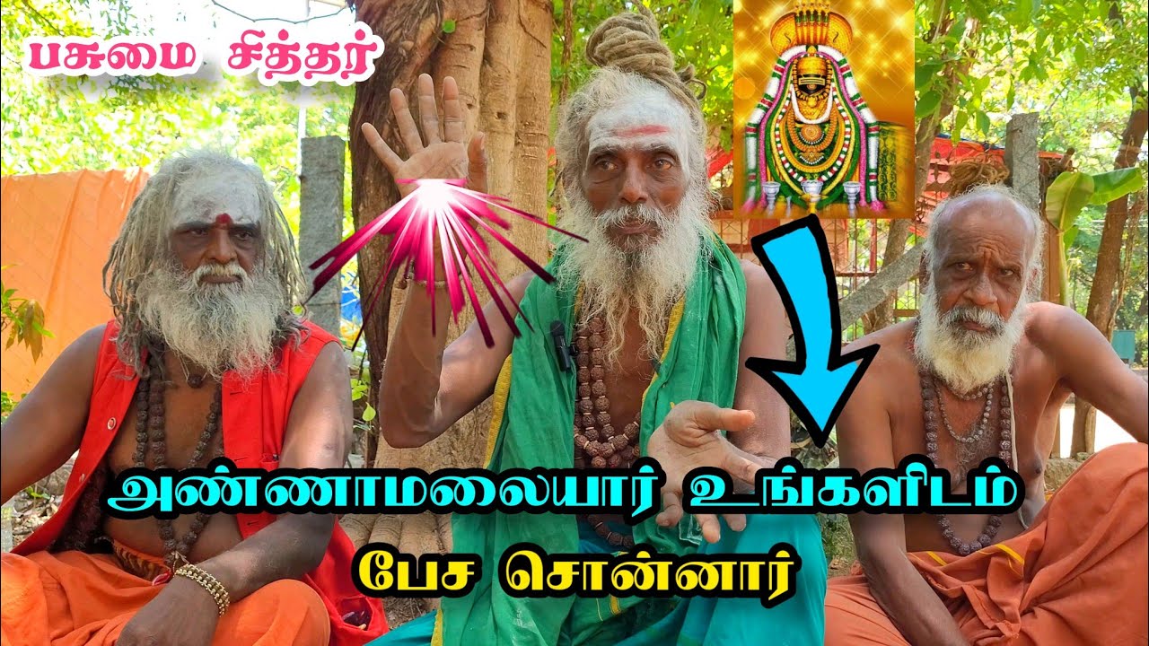 😱🥺அண்ணாமலையார் உங்களிடம் பேச சொன்னார்🙏🕉 பசுமை சித்தர்😳திருவண்ணாமலை♥️🫰🤩 ...