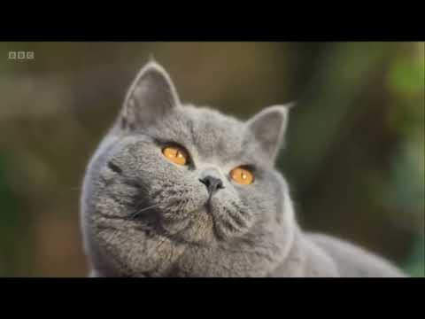 Secret Garden (2026) - Season 1 Episode 2 - Bristol