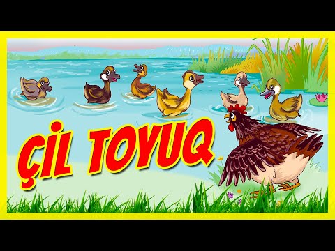 ÇİL TOYUQ (4-cü sinif Azərbaycan dili)