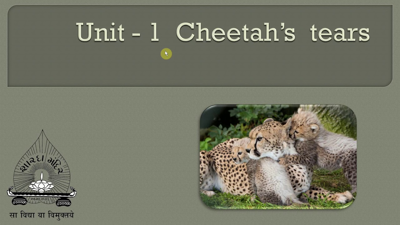 Std 9 English Unit 1 Cheetah's tears Paragraph - 1, 2, 3, 4 - YouTube