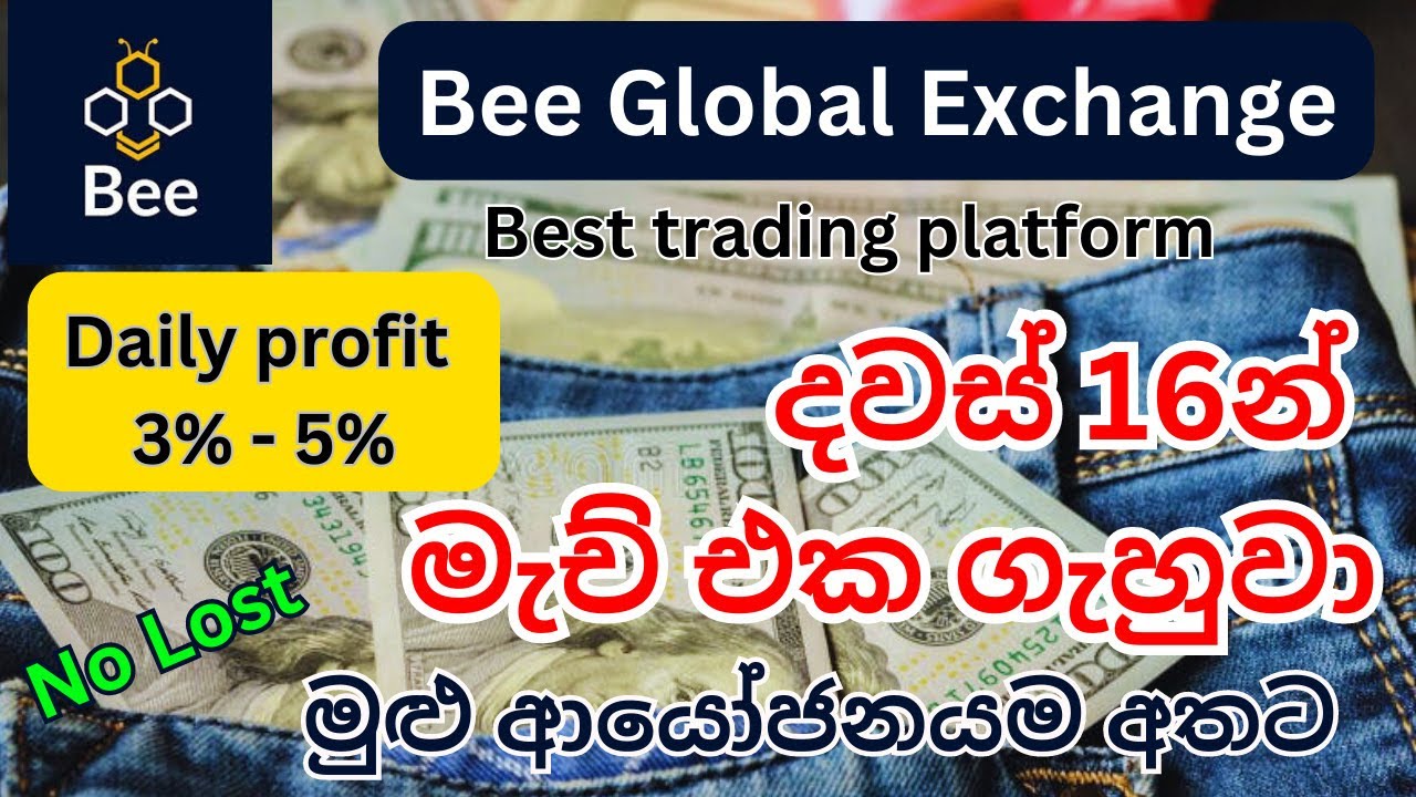 Bee Global Exchange | දවස් 16න් මුළු ආයොජනයම අතට | Extra Income |No ...