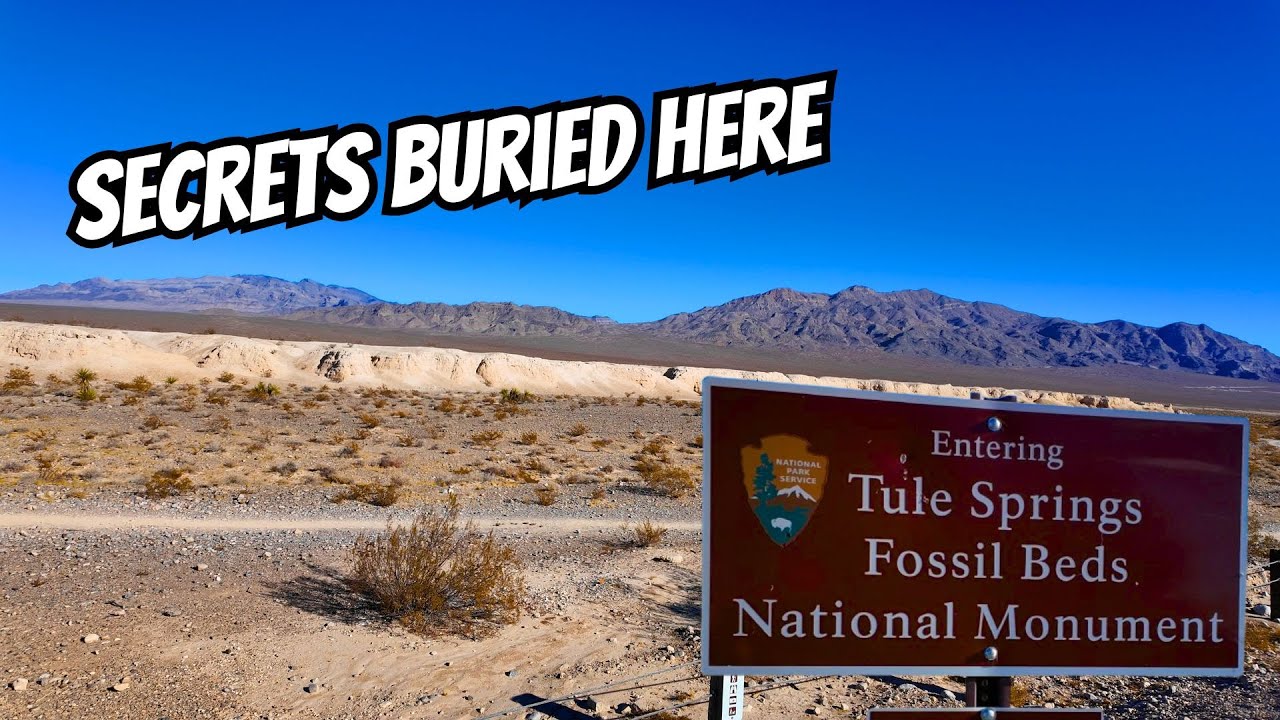 Tule Springs Fossil Beds Durango: Unearthing Las Vegas' Past - YouTube