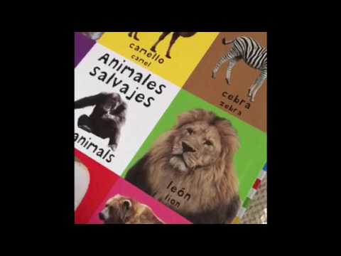 Bright baby books - Bilingual babies - YouTube