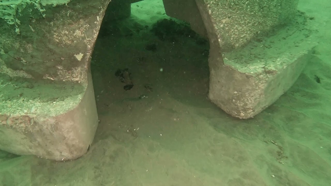 Pacific Fish Reef-Sea Cave - YouTube