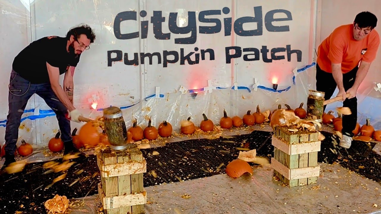 🎃 Cityside Pumpkin Patch - NYC 🎃 - YouTube