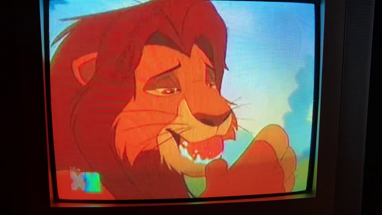 Las Aventuras de Timón y Pumba Comida entre amigos III - YouTube